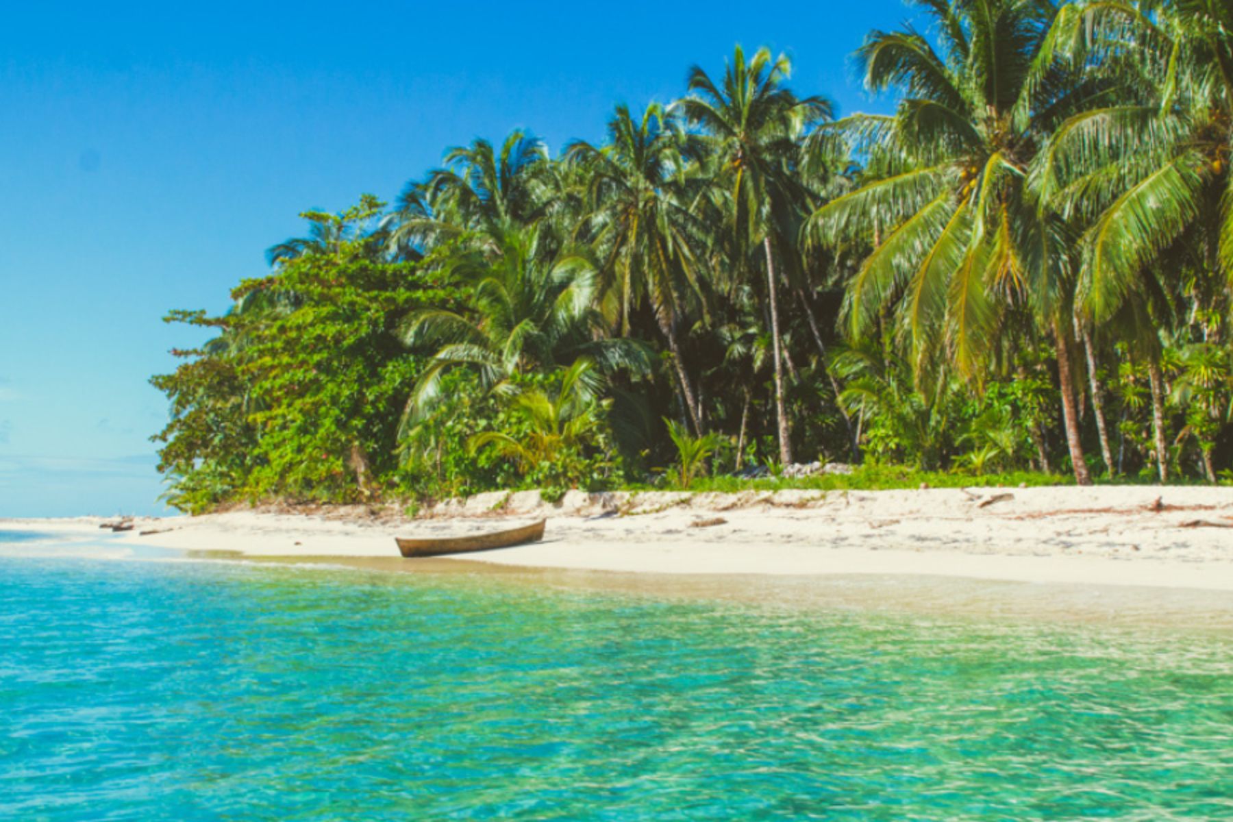 A journey to explore Panama’s astonishing natural diversity